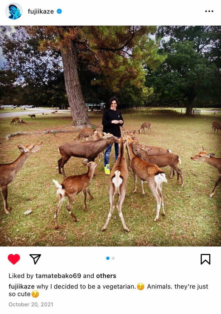 The A to Z of Fujii Kaze - A Yellow Umbrella